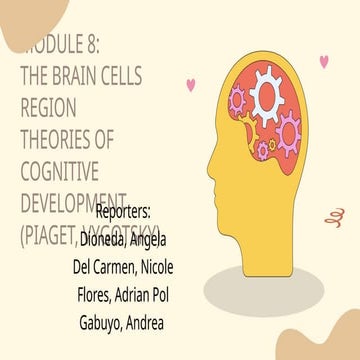 MOD 8 Brain Cells Region Theories of cognitive development (Piaget ...
