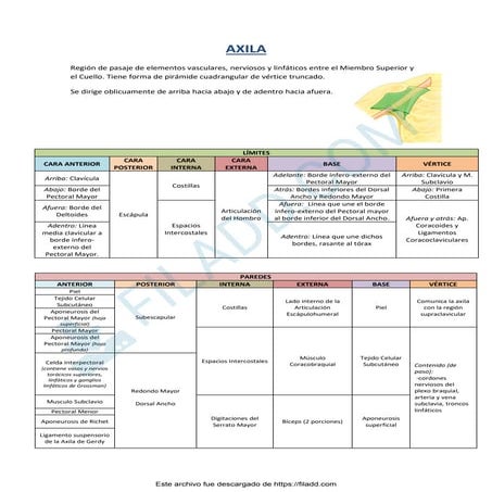 Mod A - Apunte Axila.pdf 1234677876432221 | PDF
