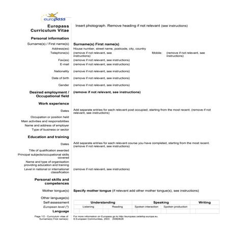 Model cv curriculum_vitae_european_engleza | DOC