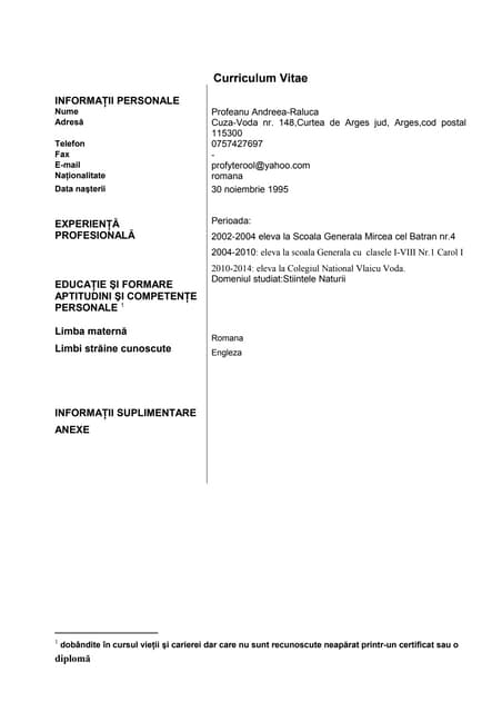 Europass Cv Romana Europass CV Template. Margarida Curriculum Vitae
