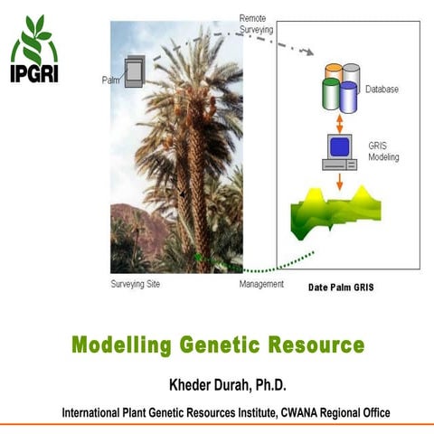 Modeling Genetic Resources | PPT
