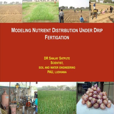 Modeling Nutrient Distribution Under Drip Fertigation | PPT