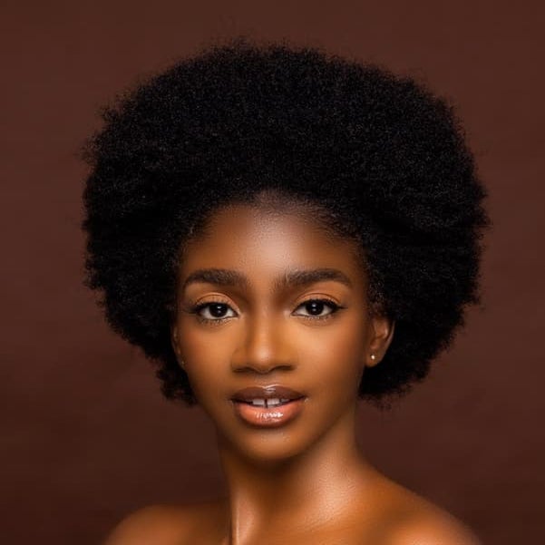 Modelling Pictures | PDF