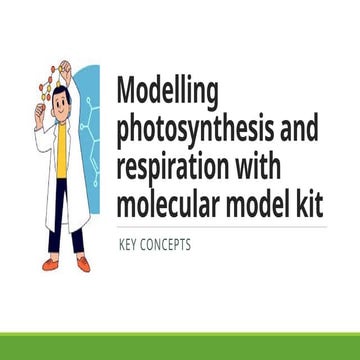 Modeling Photosynthesis and Respiration to Understand the Carbon Cycle ...