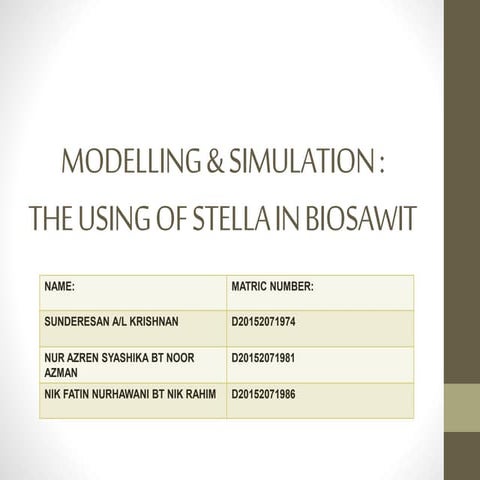 Modelling And Simulation Pptx