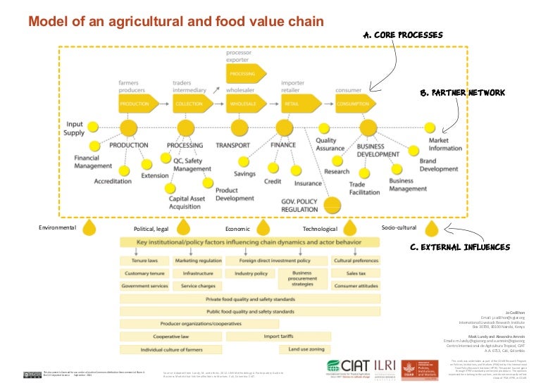 Model of an agricultural and food value chain