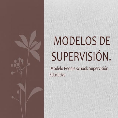 Supervision educativa mapa comceptual | PPTX