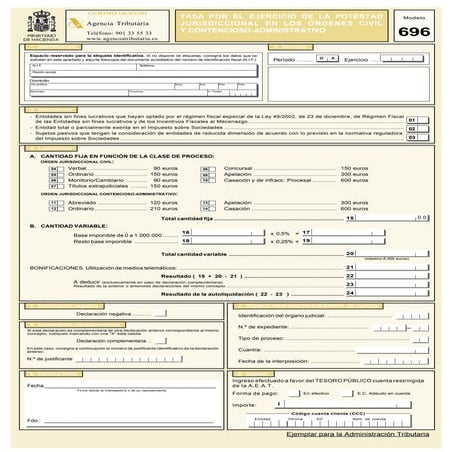 Modelo+696 | PDF