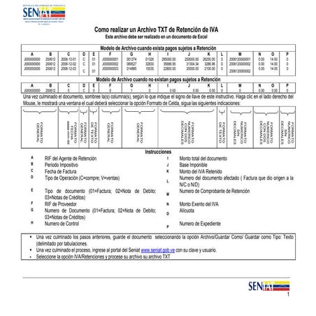 Guia niea 3000 | PDF