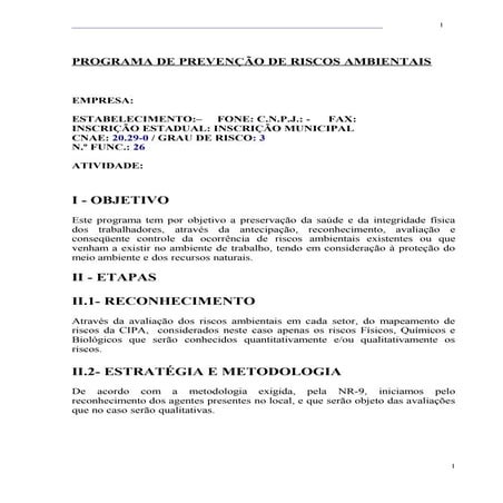 Modelo de ppra 1 | PDF