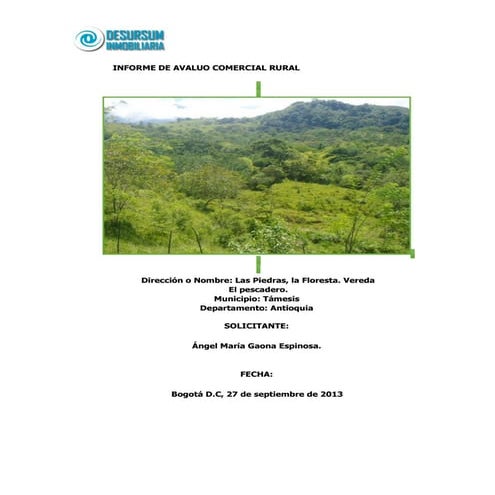 Modelo informe de avaluo rural | PDF