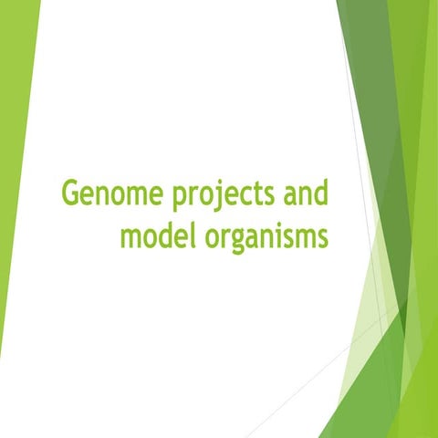 Model organisms | PPT