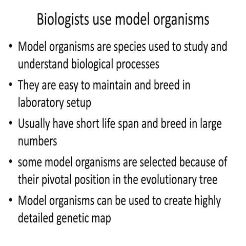 model organisms.pptx | Biological Sciences | Science