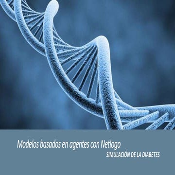 Modelos basados en agentes con Netlogo - Simulación de la diabetes | PPTX