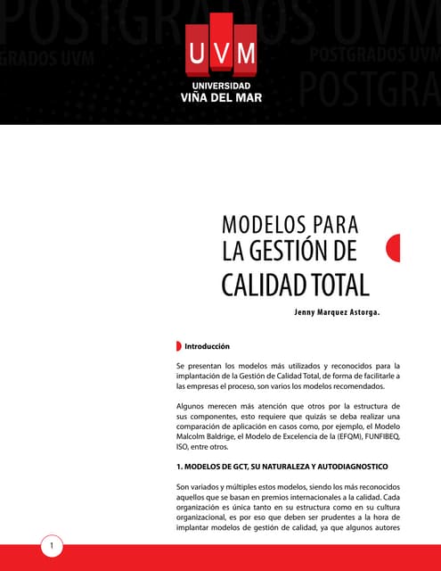 Modelos de calidad 14 | PDF