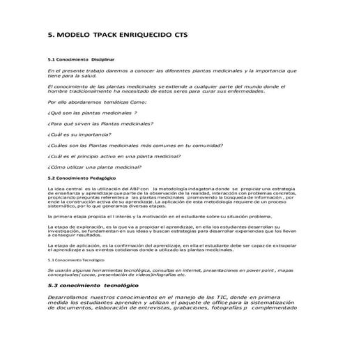 Modelo tpack enriquecido cts | DOCX