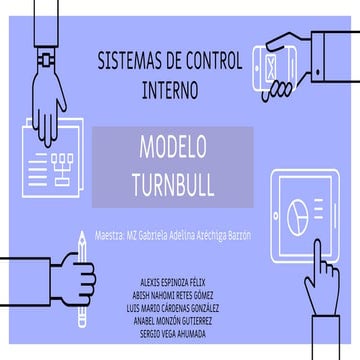 MODELO TURNBULL.pptx