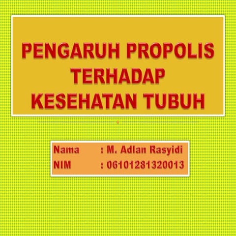 Introduction of BBA (PROPOLIS-ppt).pptx
