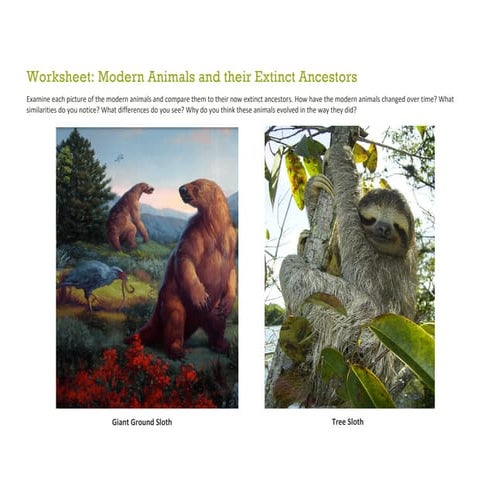 Extinct & Endangered Species: A Deep Dive into Lost Giants and ...