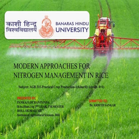 Modern approaches of nitrogen management in rice.pptx