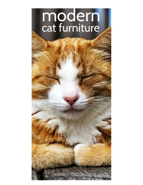 Modern Cat Designs | PDF