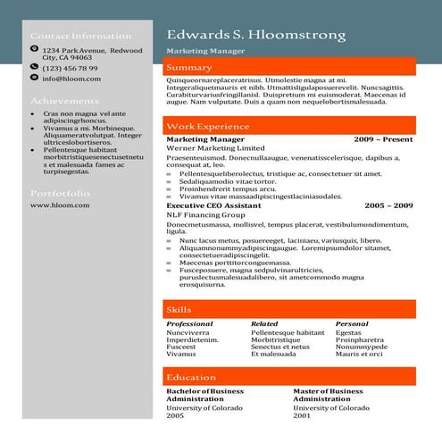 Modern CV template 03 | PDF