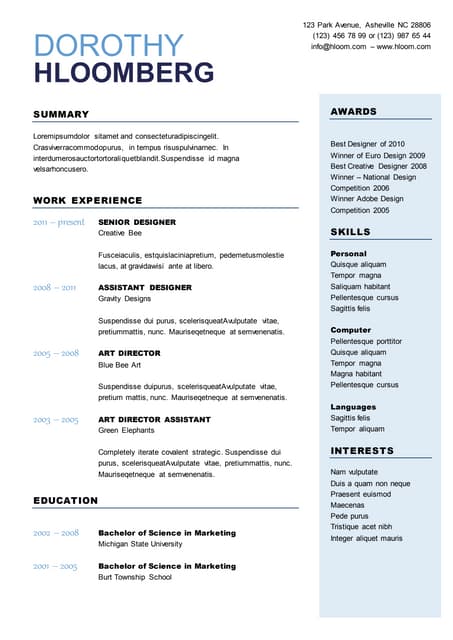 Modern CV template 01 | PDF