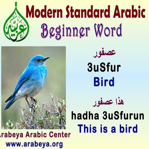 Modern Standard Arabic | PPT
