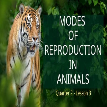 Types and modes of Reproduction in animals.pptx