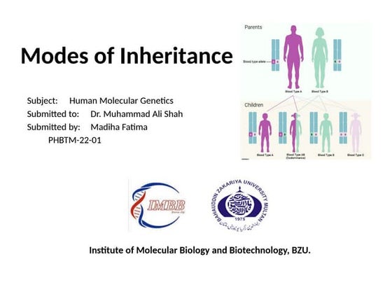 Sex Linked Inheritance Ppt