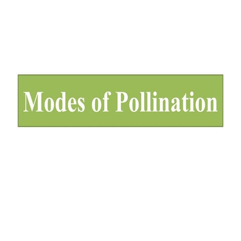 Modes of Pollination.pptx plant Breeding | PPTX