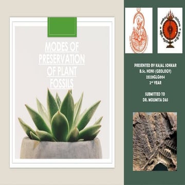 MODES OF PRESERVATION OF PLANT FOSSILS.pptx