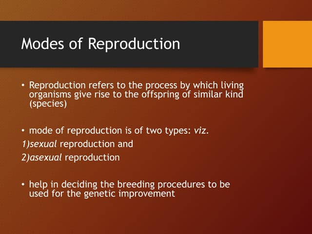 THESIS WRITING PROCESS.ppt