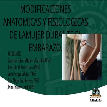 Cambios Anatómicos Y Fisiológicos En El Embarazo Pptx