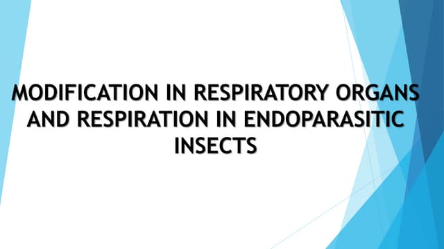 Insect respiratory system | PPTX