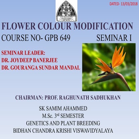 FLOWER COLOUR MODIFICATION | PPTX