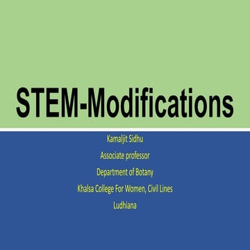 Modification of stem | PPTX