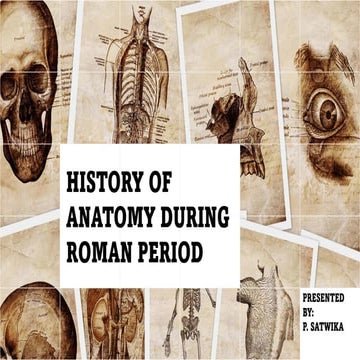 Anatomical Suffixes Rhaphy & Scope | PDF