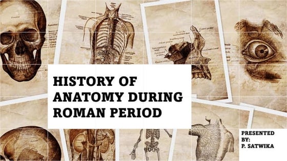 The father of anatomy and a great anatomist Herophilus | PDF