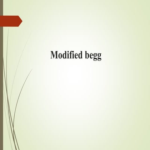 modifiedbegg.pptx