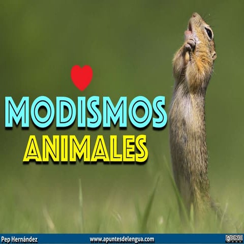 Modismos animales | PDF
