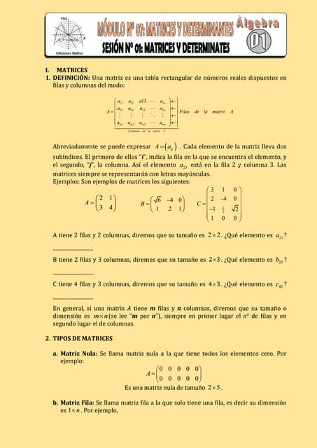 Fundamentos matrices y determinantes | PPTX