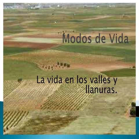 Modos de vida en valles y llanuras | PDF