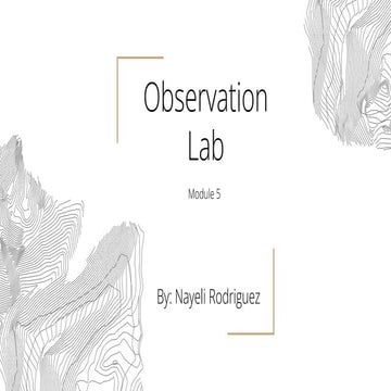Moduel 5 (Observation Lab).pptx | Malls & Shopping Centers | Attractions
