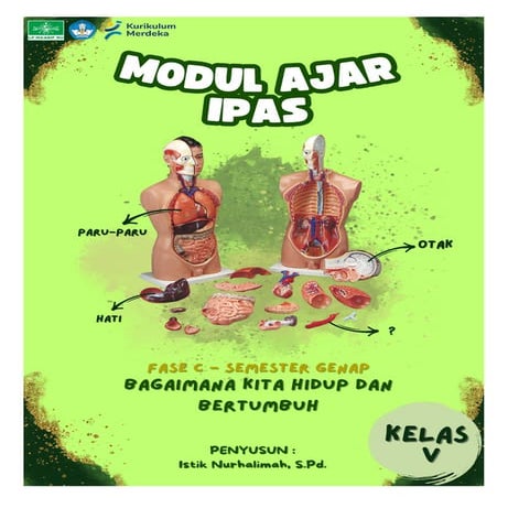 MODUL-AJAR-5A-IPAS-BAB-5-SEMESTER-GENAP 2024-2025.docx