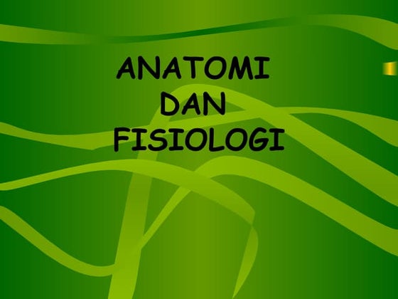 anatomi dan fisiologi badan.SISTEM_OTOT .pdf