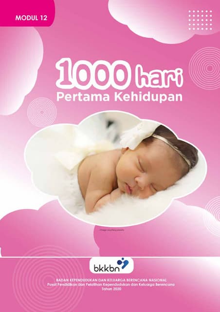 Pendewasaan Usia Perkawinan (PUP) | PPT