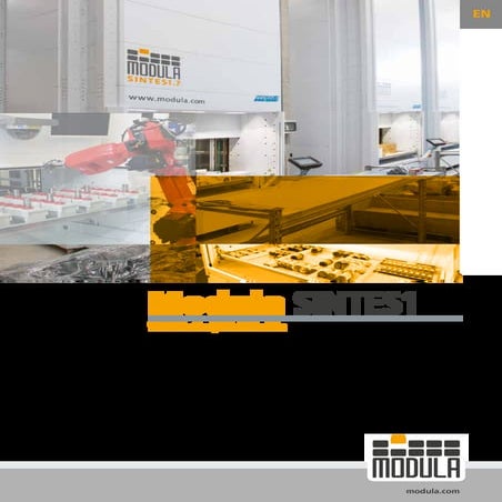 Modula sintes1-Vertical Lift Machines | PDF