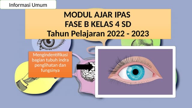 Materi ipa kelas 4 semester 1 panca indra | PPTX