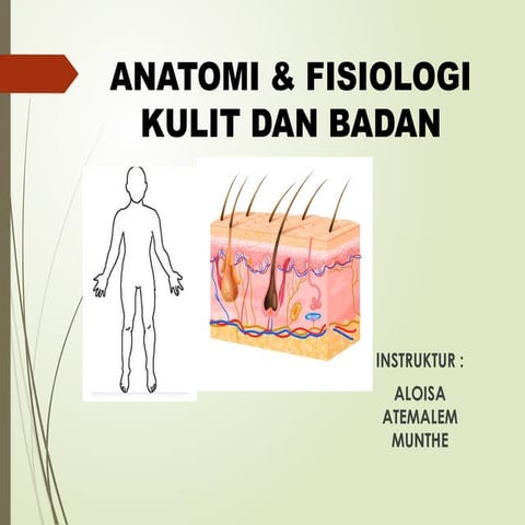 Modul Anatomi d Fisiologi kulit PTT.pptx